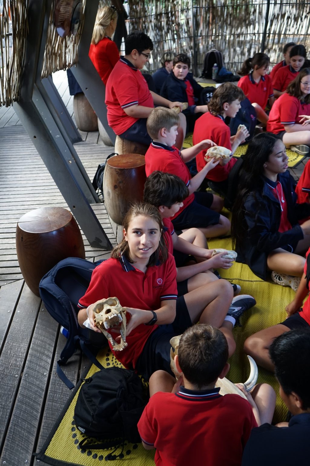 Year 7 Science Excursion – Melbourne Zoo | Copperfield College